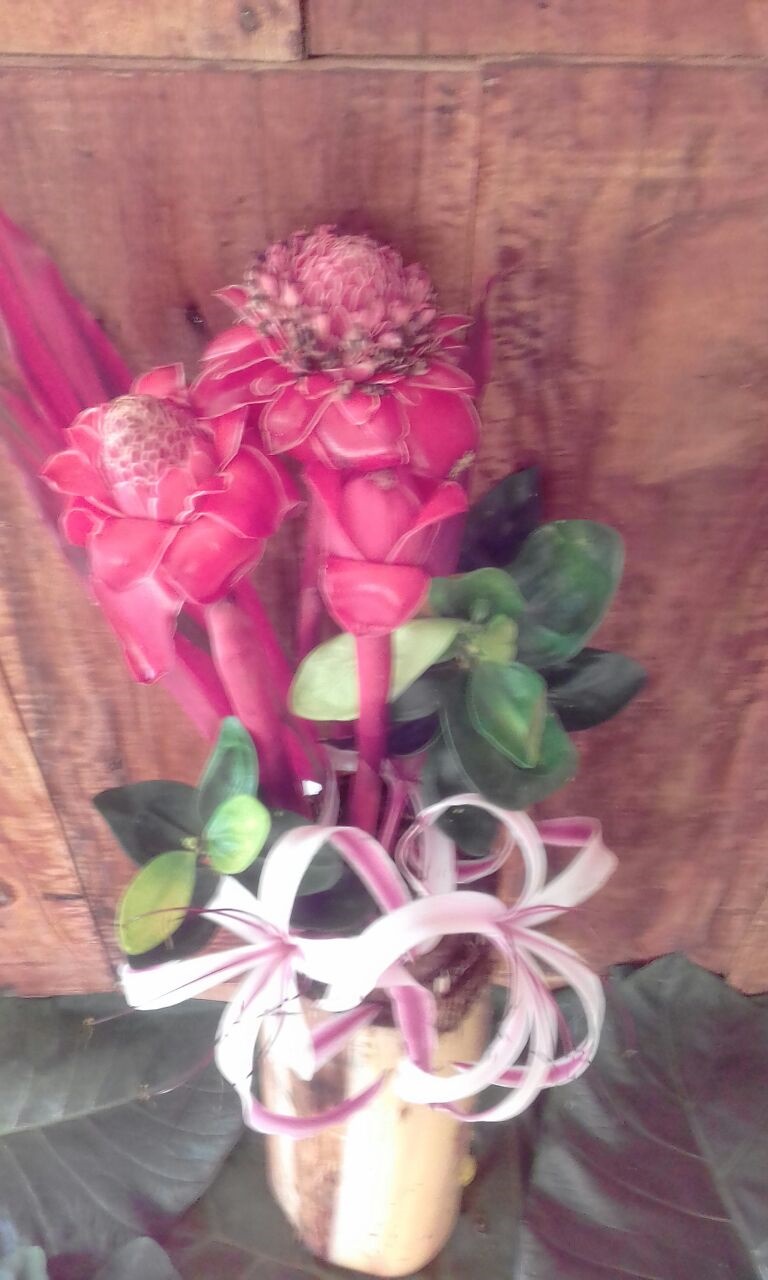Impress Your Mother on Mother’s Day! Adopt Flowers From the Jungle ...